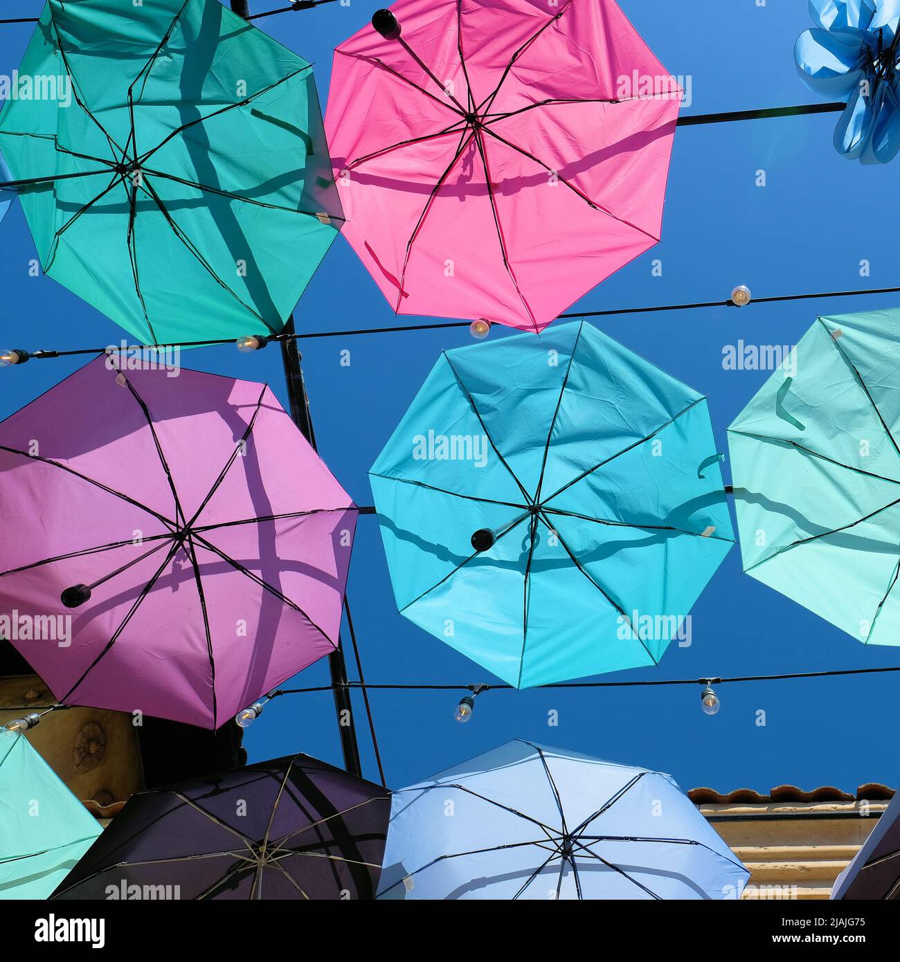 Umbrellas hanging from cables creating a ceiling effect; rows of ...