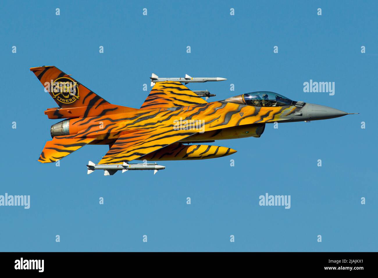 A Belgian Air Component F-16 Fighting Falcon in flight, painted in ...