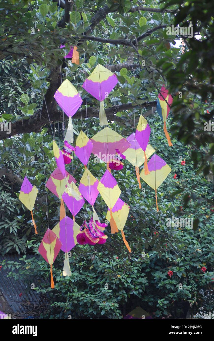 The Institute of Fine Arts is decorated with kites and confetti on the ...