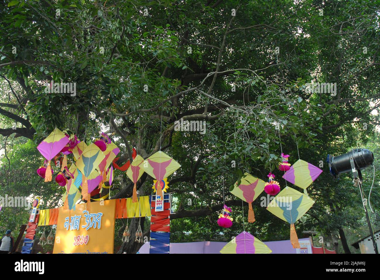 The Institute of Fine Arts is decorated with kites and confetti on the ...