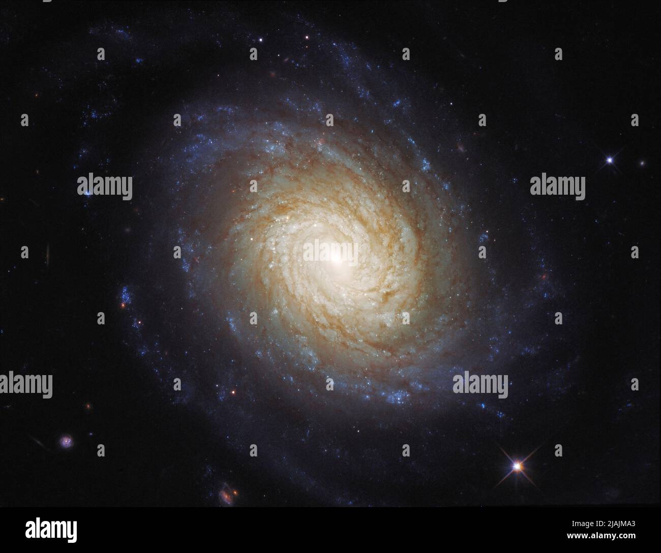 Spiral galaxy NGC 976 Stock Photo - Alamy