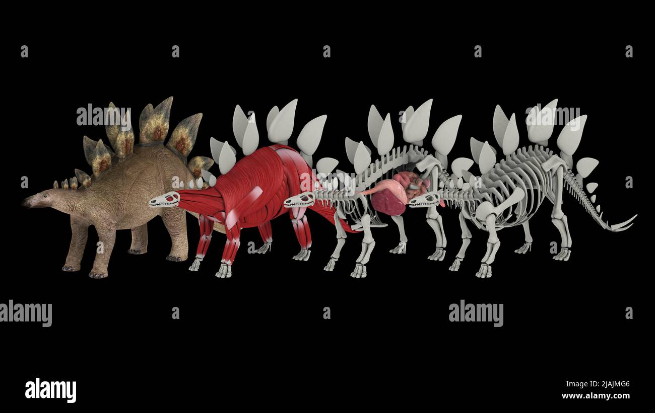 Prehistoric mammals illustrations hi-res stock photography and images ...