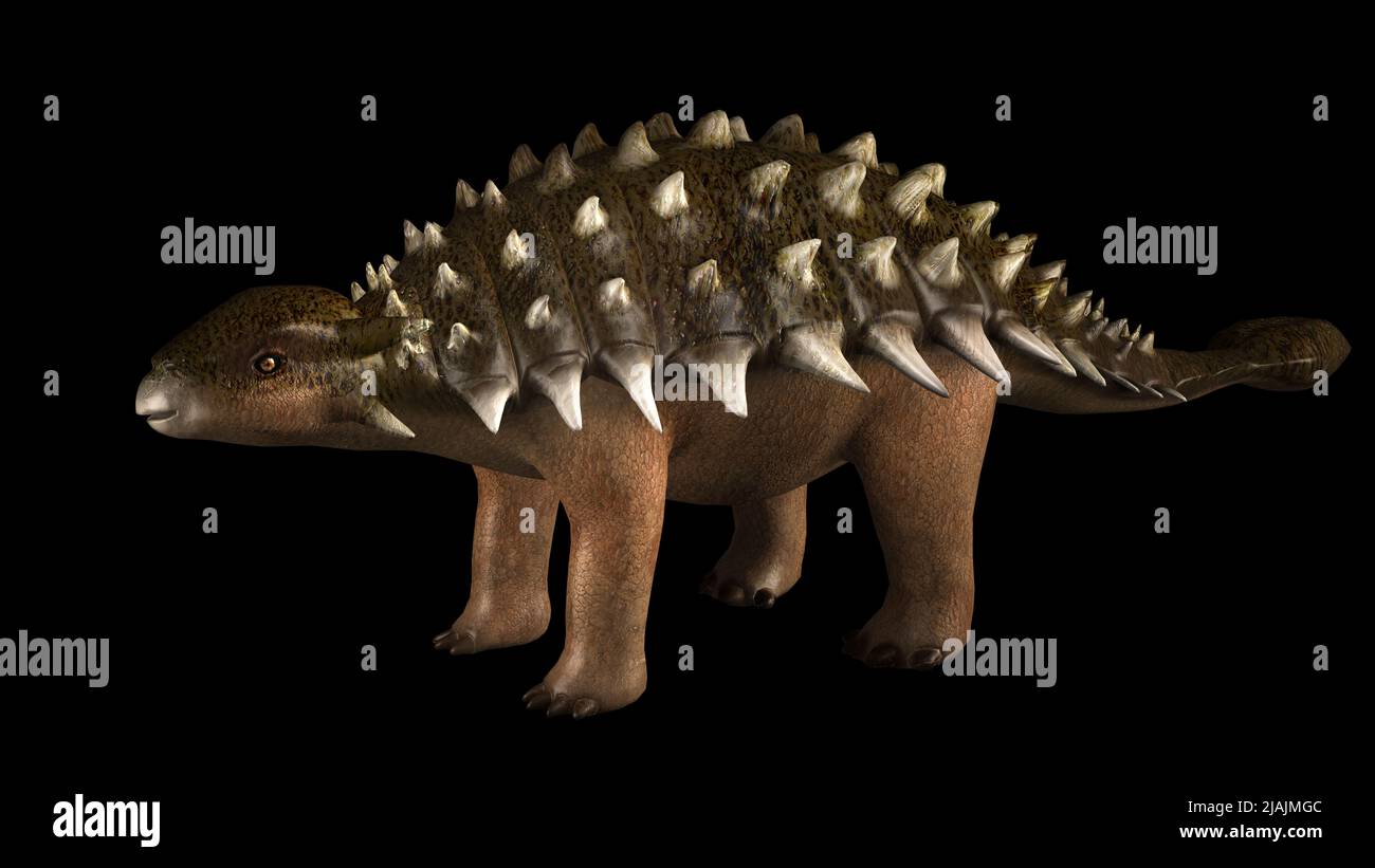Ankylosaur hi-res stock photography and images - Alamy