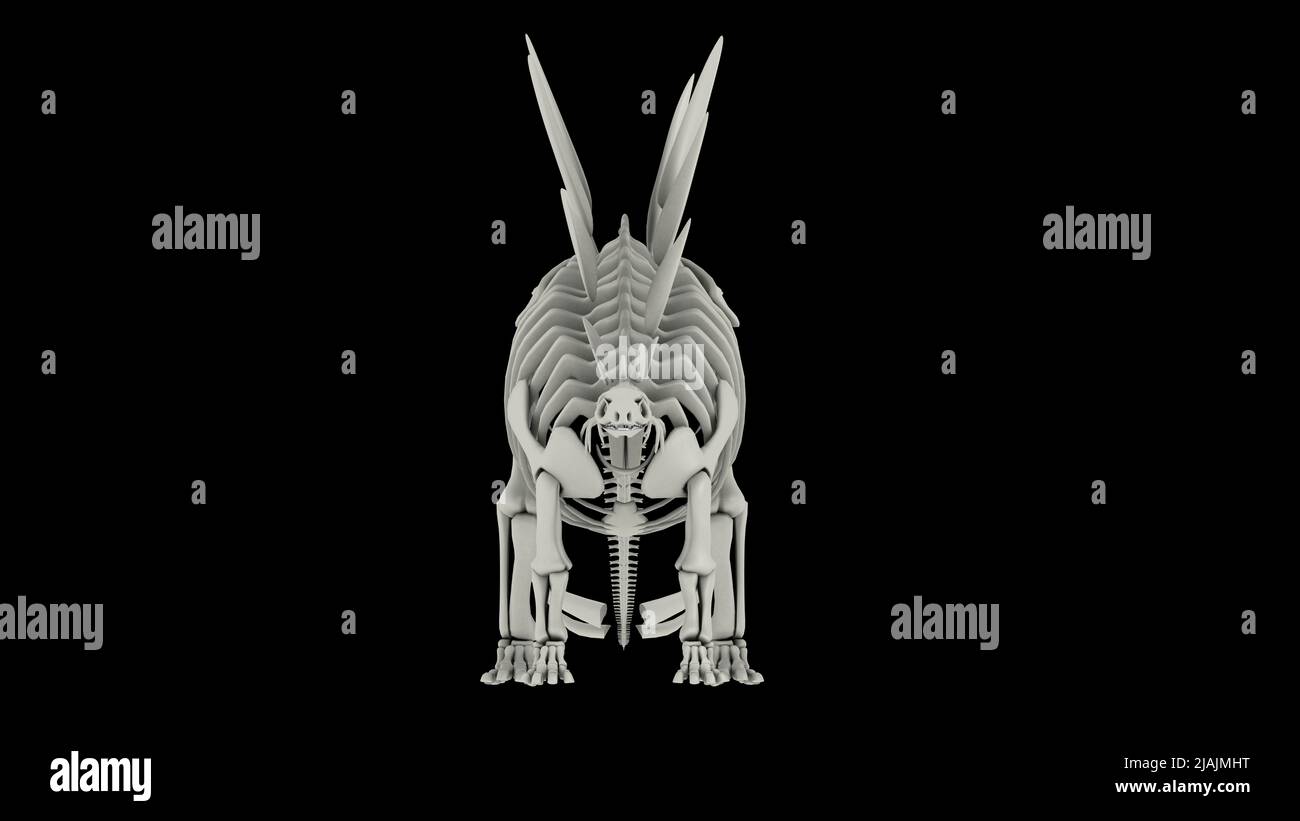 Skeletal system of Stegosaurus, front view Stock Photo - Alamy