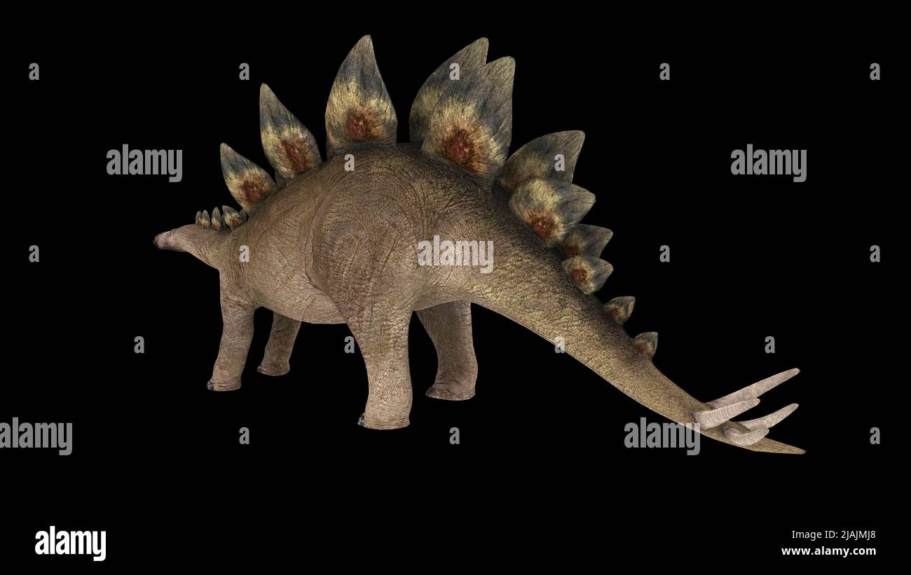 Prehistoric stegosaurus extinct species dinosaur hi-res stock ...
