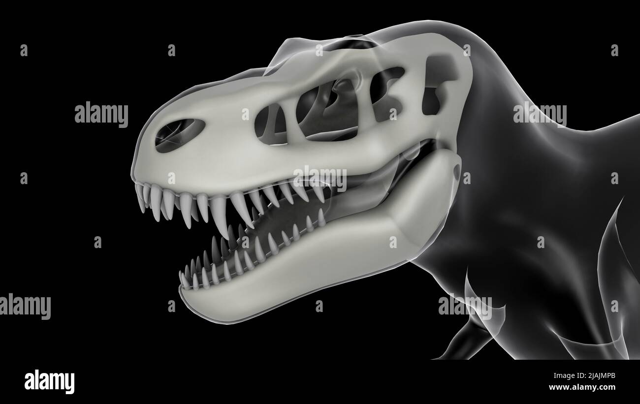 Side view tyrannosaurus rex dinosaur hi-res stock photography and ...