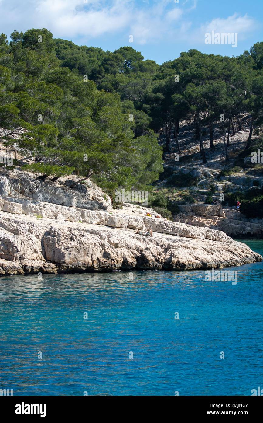 View on Calanque de Port Pin near Cassis, boat excursion to Calanques ...
