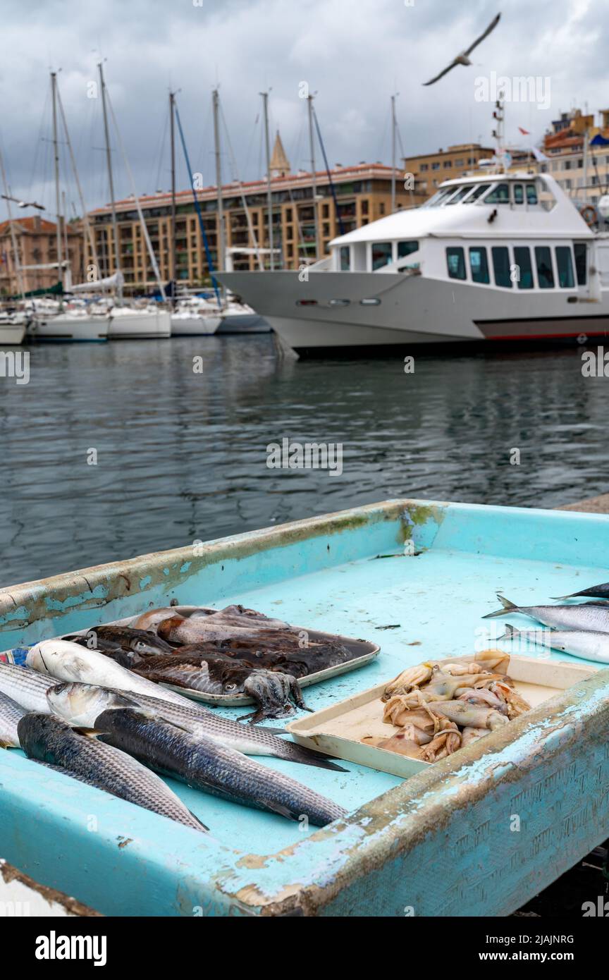Catch of the day for sale on daily fish market in old port of Marseille ...
