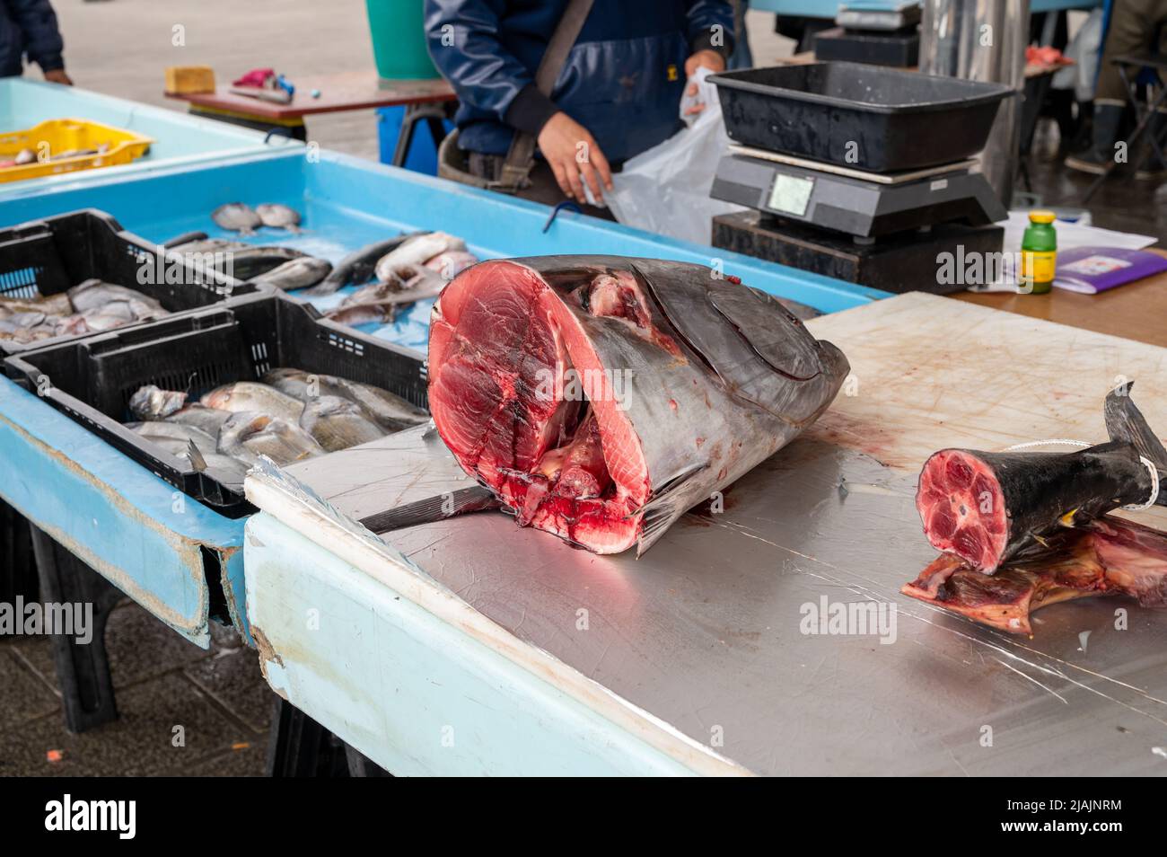 Catch of the day for sale on daily fish market in old port of Marseille ...
