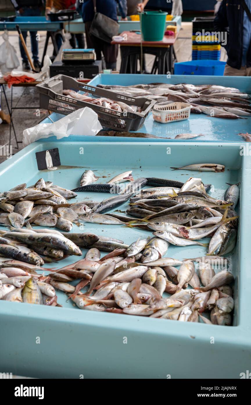 Catch of the day for sale on daily fish market in old port of Marseille ...