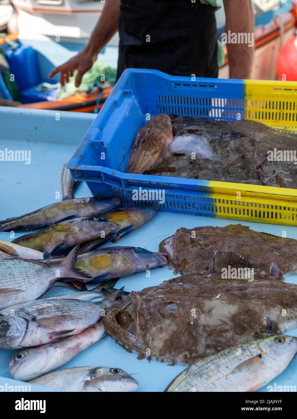 Catch of the day , fresh fish for sale on daily outdoor fisherman's ...