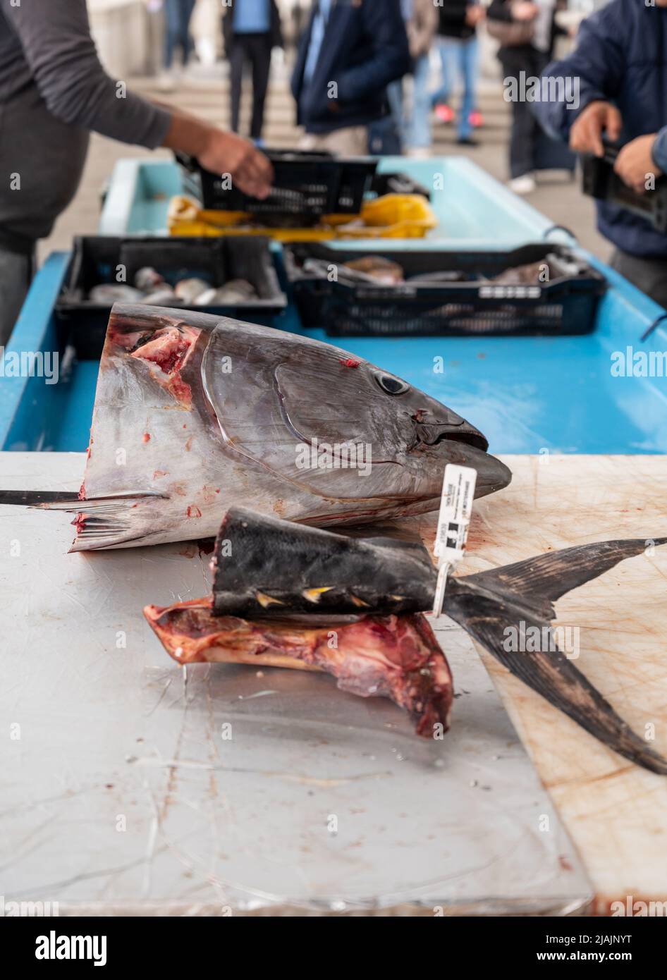 Catch of the day for sale on daily fish market in old port of Marseille ...