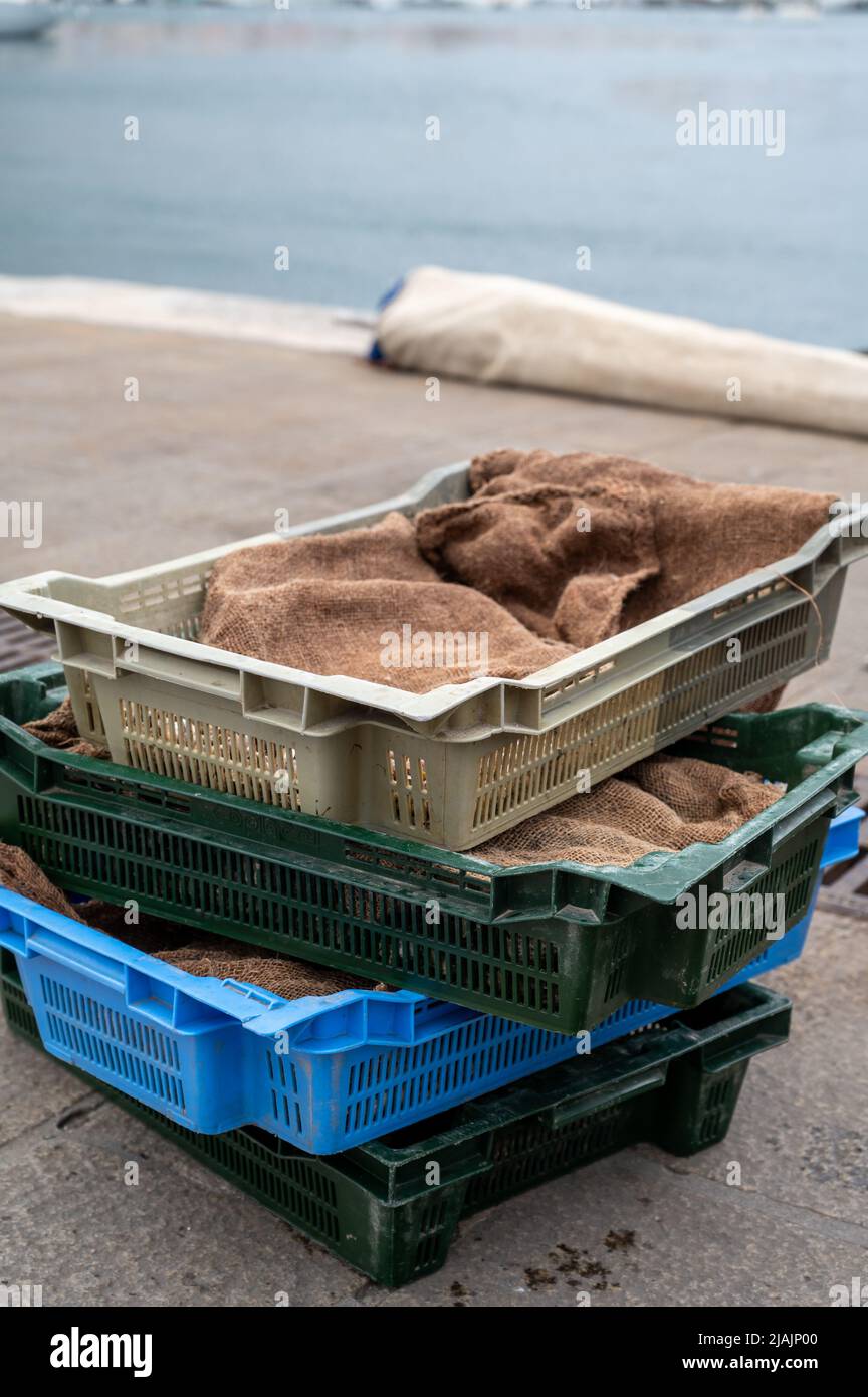 Catch of the day for sale on daily fish market in old port of Marseille ...