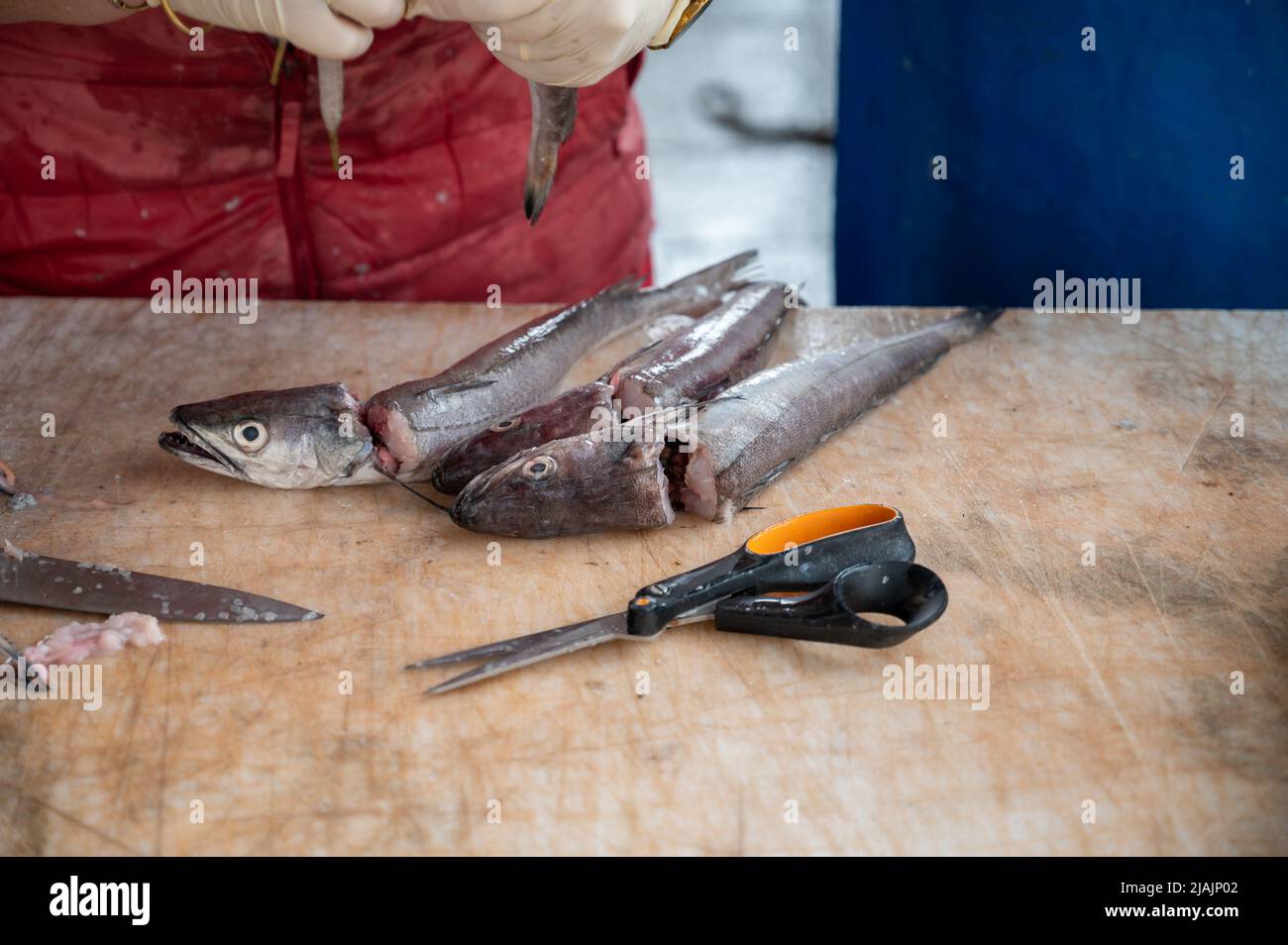 Catch of the day for sale on daily fish market in old port of Marseille ...