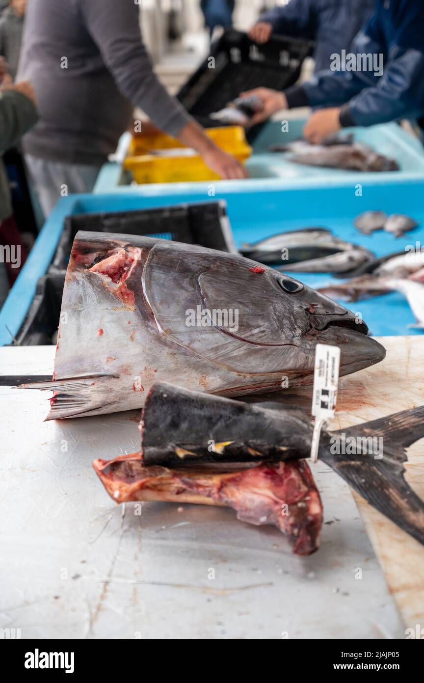 Catch of the day for sale on daily fish market in old port of Marseille ...