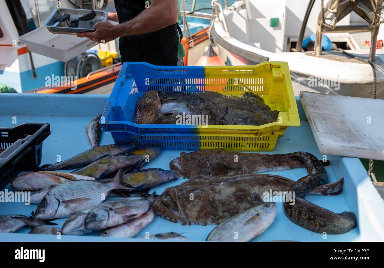 Catch of the day , fresh fish for sale on daily outdoor fisherman's ...