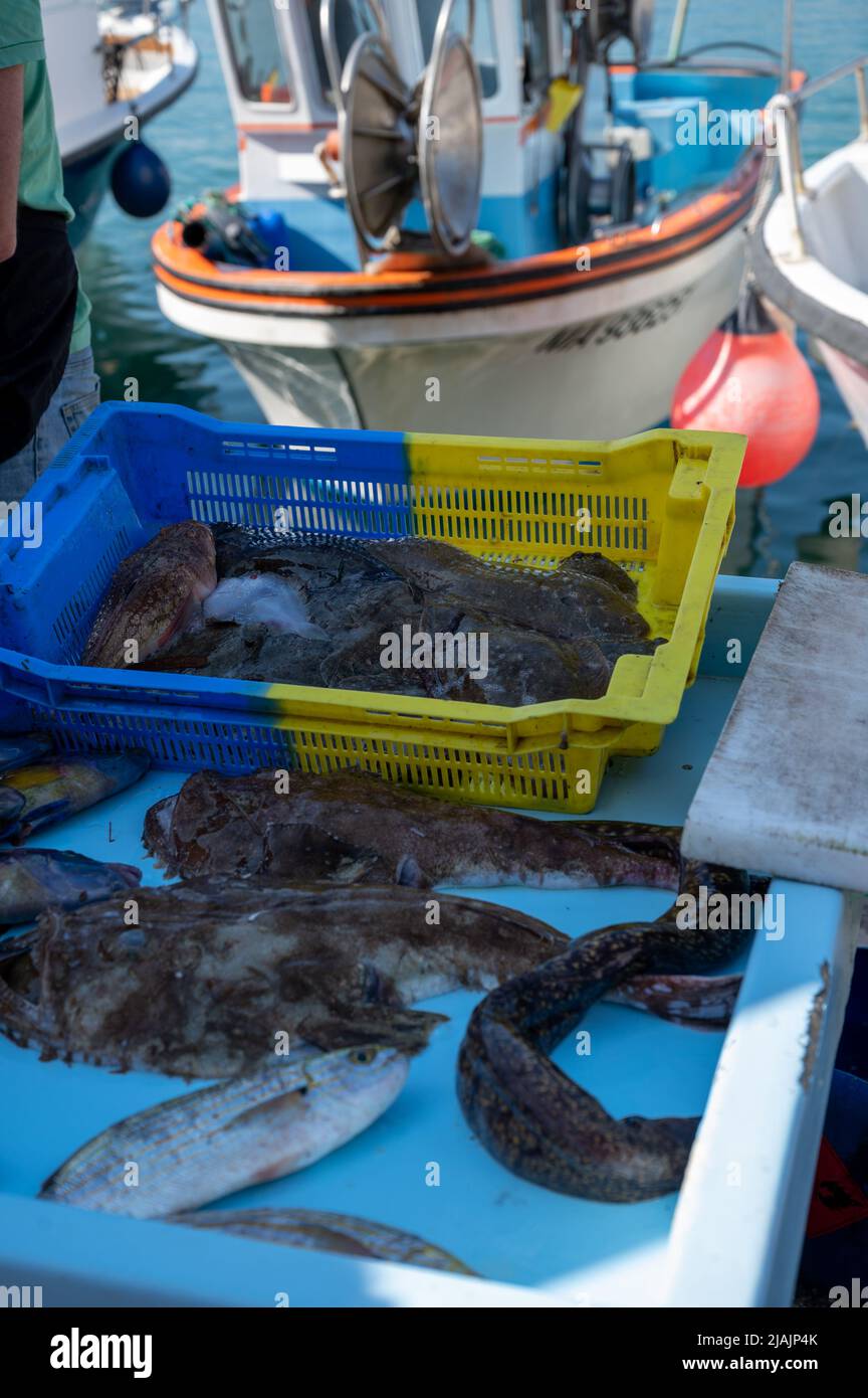 Catch of the day , fresh fish for sale on daily outdoor fisherman's ...