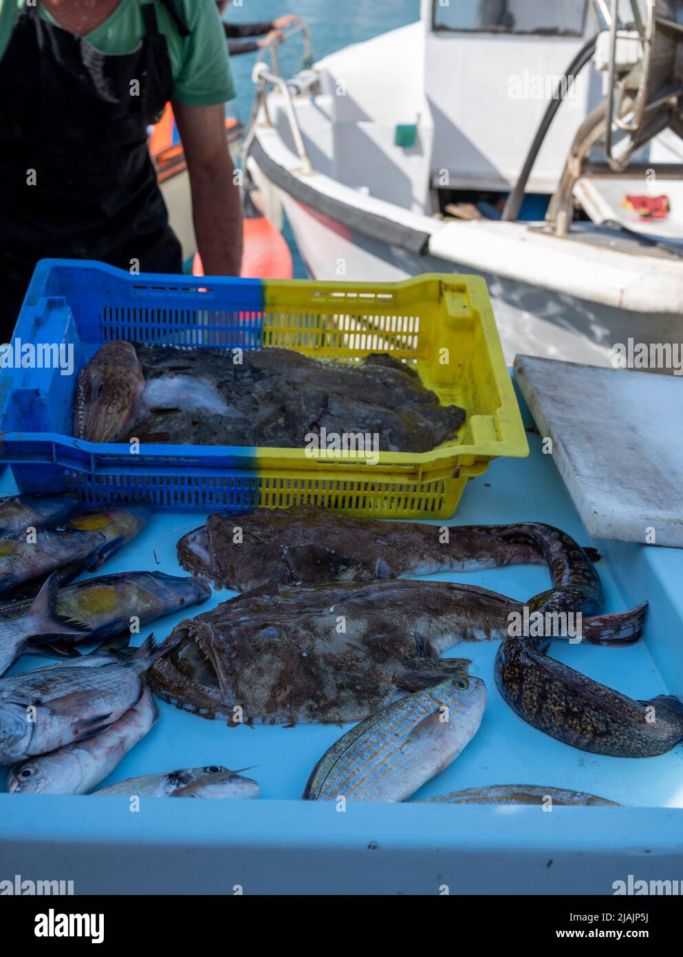 Catch of the day , fresh fish for sale on daily outdoor fisherman's ...