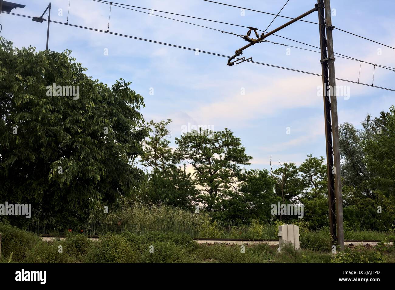 Railroad track and over head cables in a park seen from below an ...