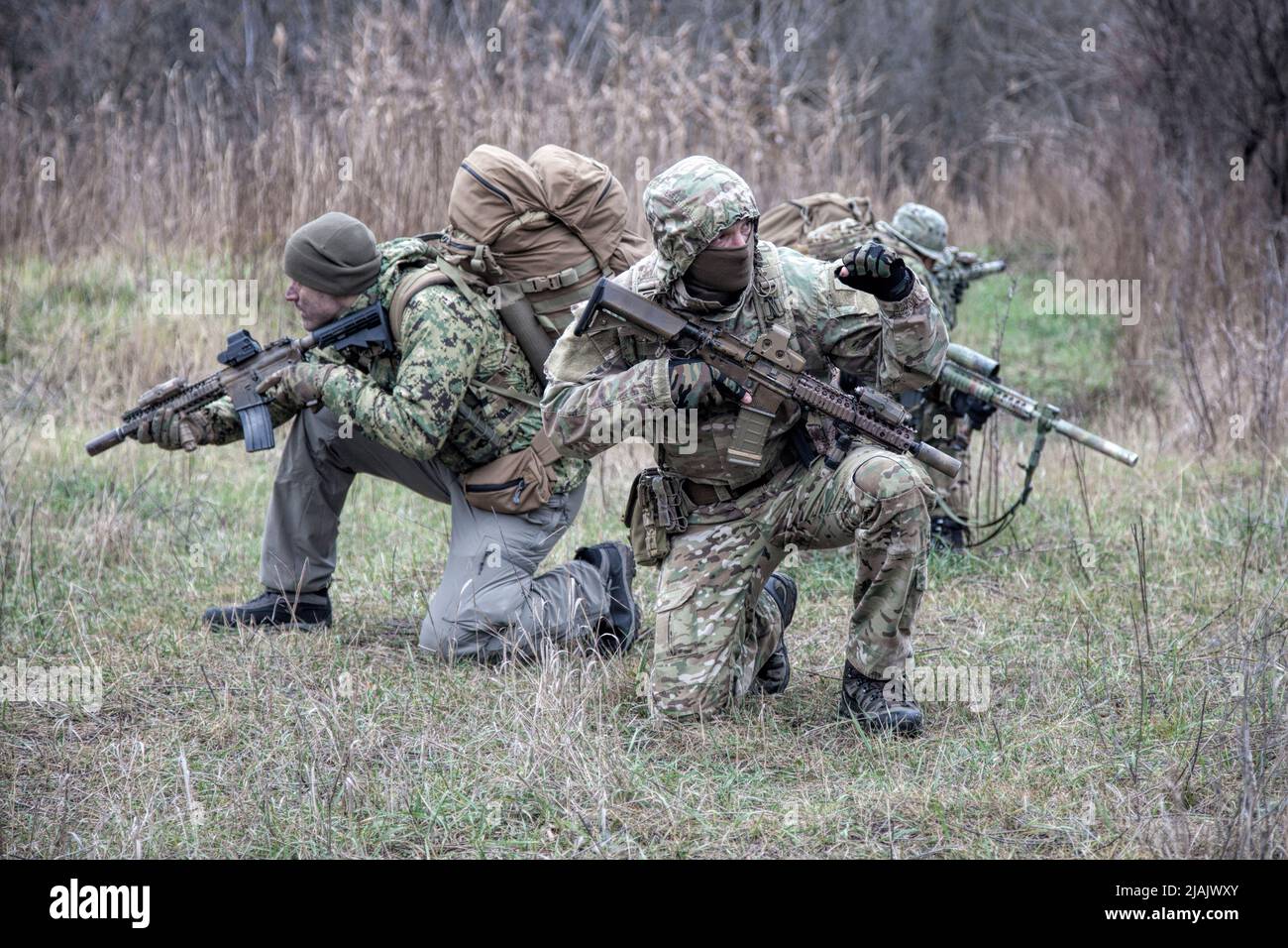 Military tactical team moving cautiously in a forest area, kneeling and ...