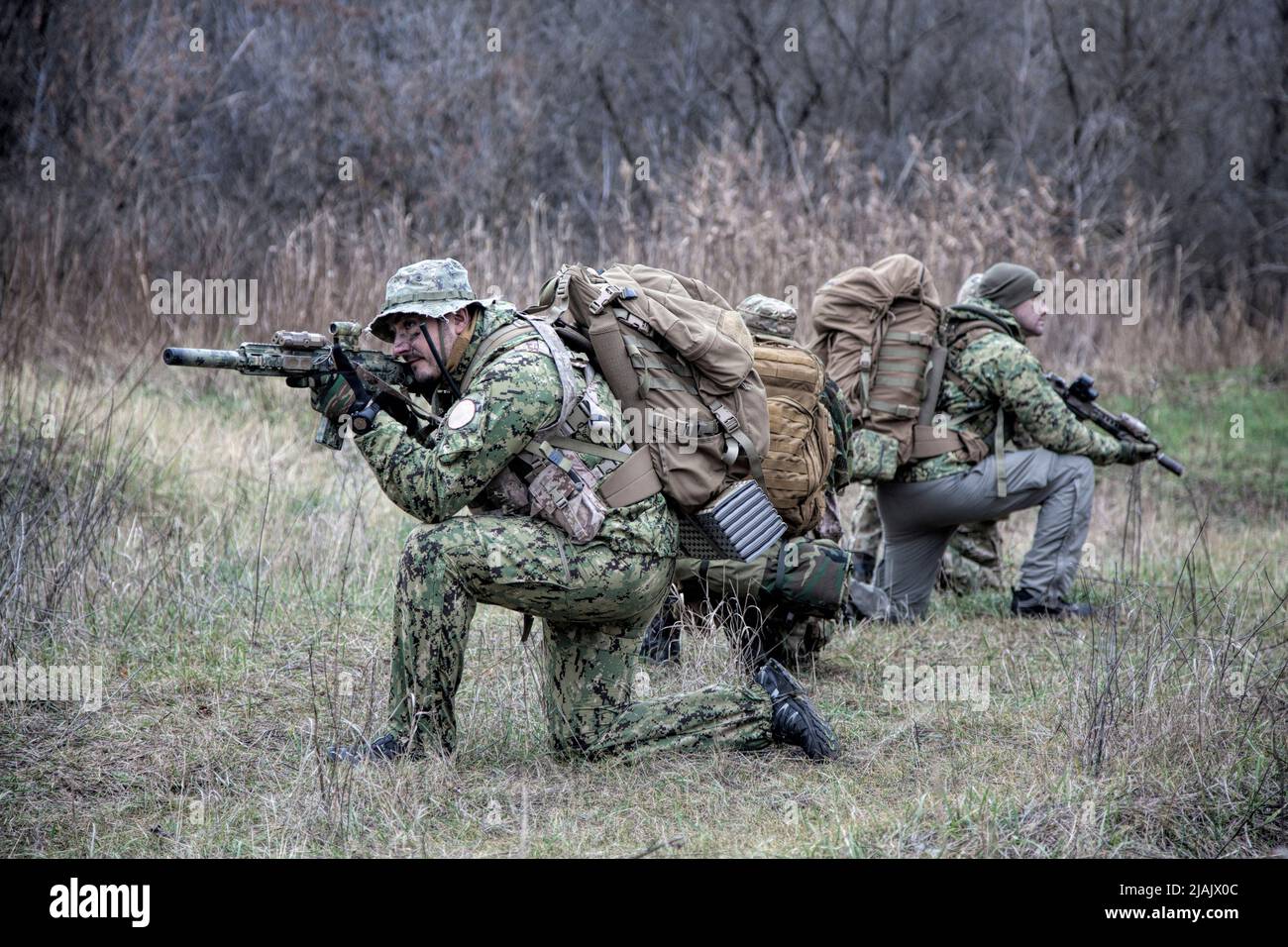 Military tactical team moving cautiously in a forest area, kneeling and ...
