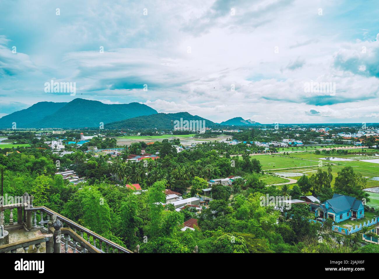 Aerial view of fresh green and yellow rice fields and palmyra trees in ...