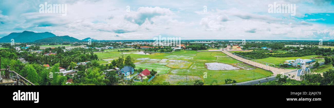 Aerial view of fresh green and yellow rice fields and palmyra trees in ...