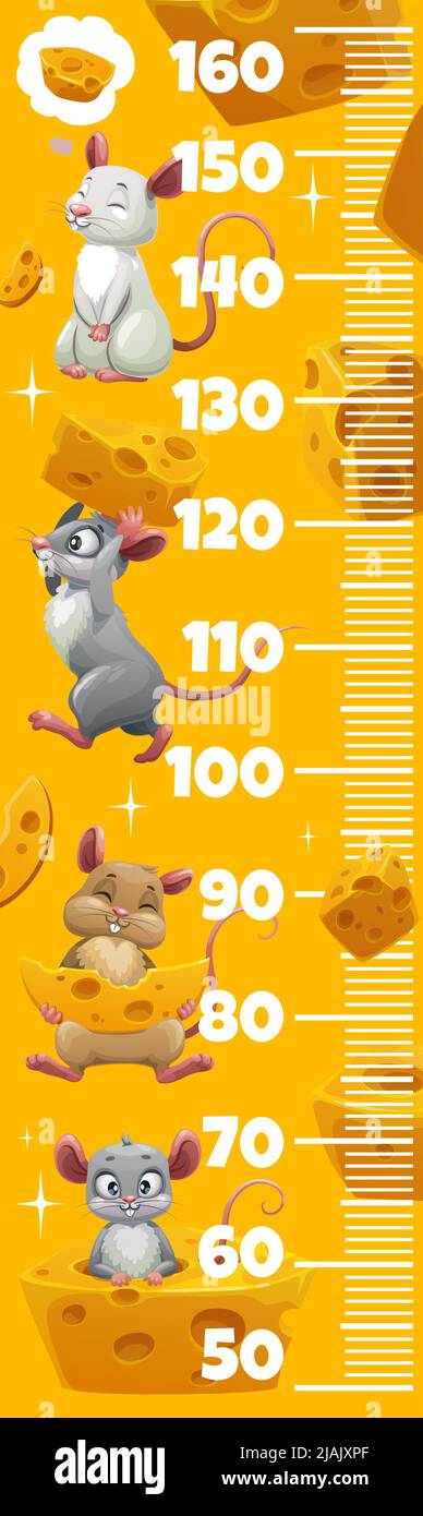 Kids height chart with cute cartoon mouses, rats and cheese. Vector ...