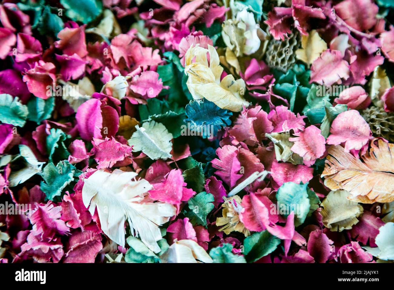 Colorful dry flower background Stock Photo - Alamy