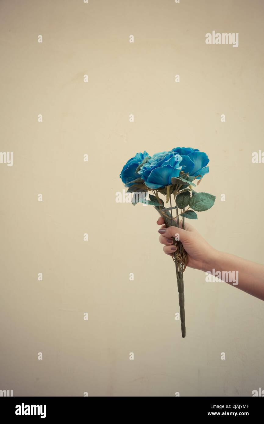 Hand holding blue fabric roses on brown background Stock Photo - Alamy