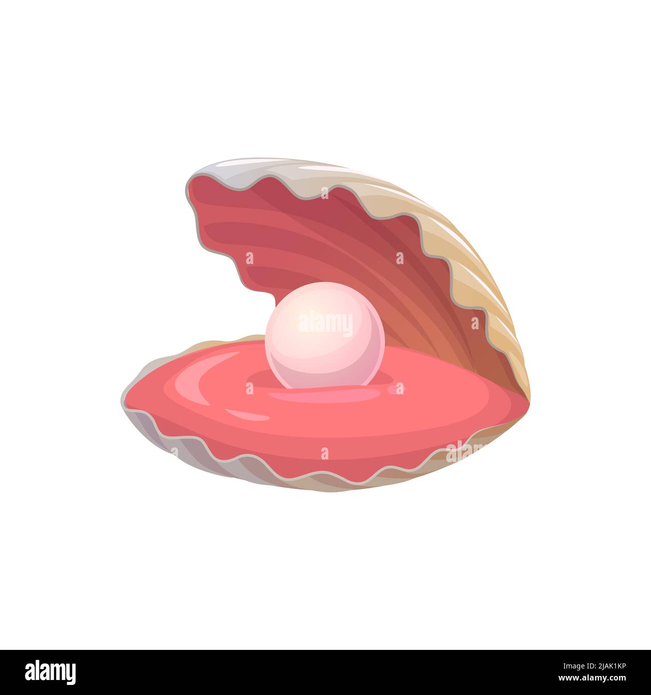 Cartoon Open Seashell