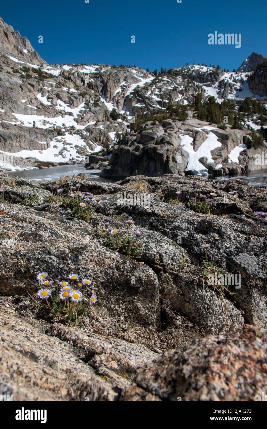 Donkey Lake is one of many alpine lakes in the Eastern Sierra of Inyo ...