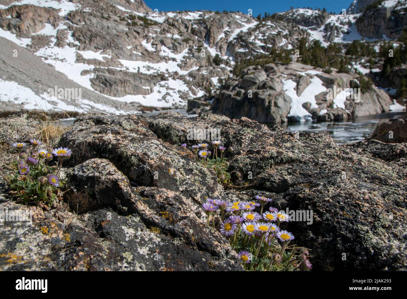 Donkey Lake is one of many alpine lakes in the Eastern Sierra of Inyo ...