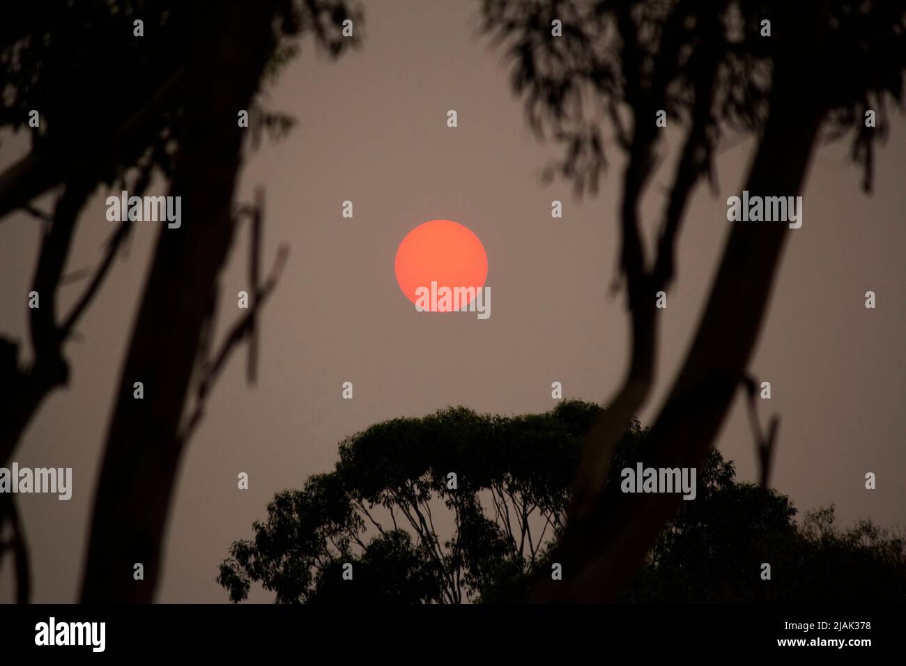 A view of sunset in Sydney, New South Wales, Australia (Photo by Tara ...