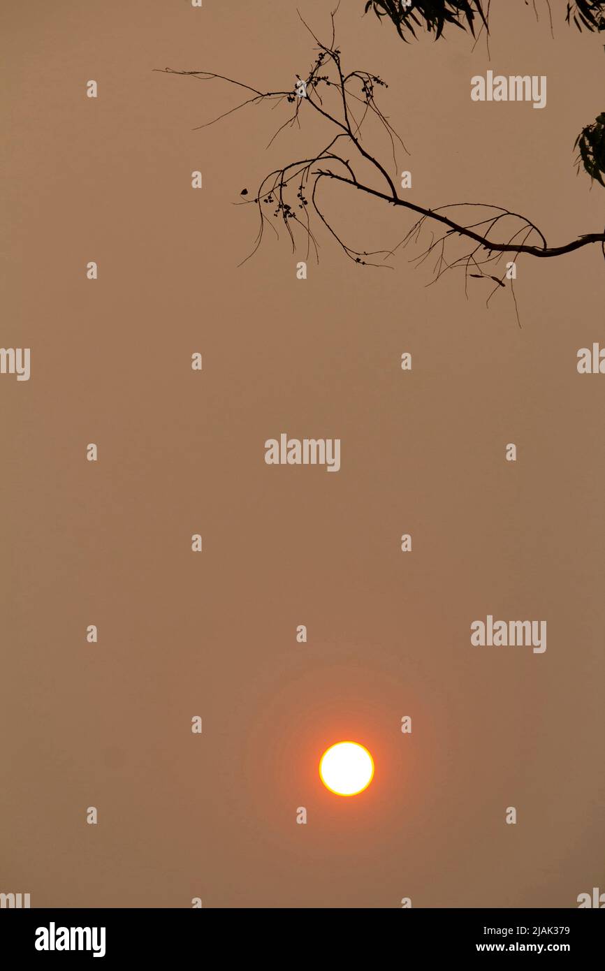 A view of sunset in Sydney, New South Wales, Australia (Photo by Tara ...