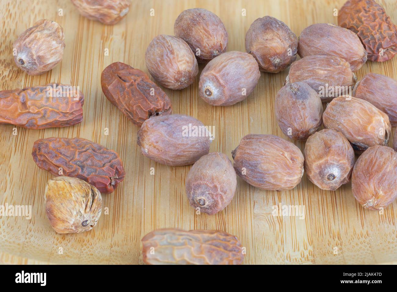 Palm seeds hi-res stock photography and images - Alamy
