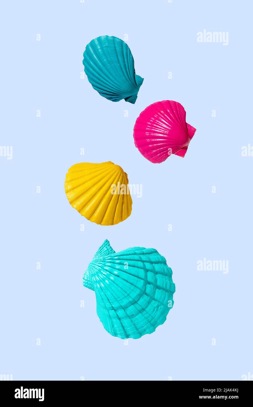 Creative summer concept with colorful shells on a light blue background ...