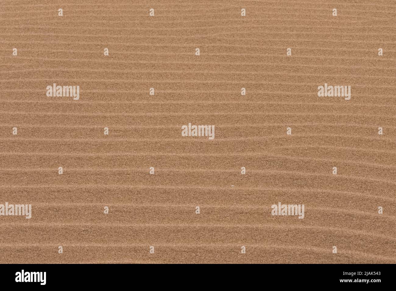 Namibia, grains of sand on the dunes, texture, background Stock Photo ...