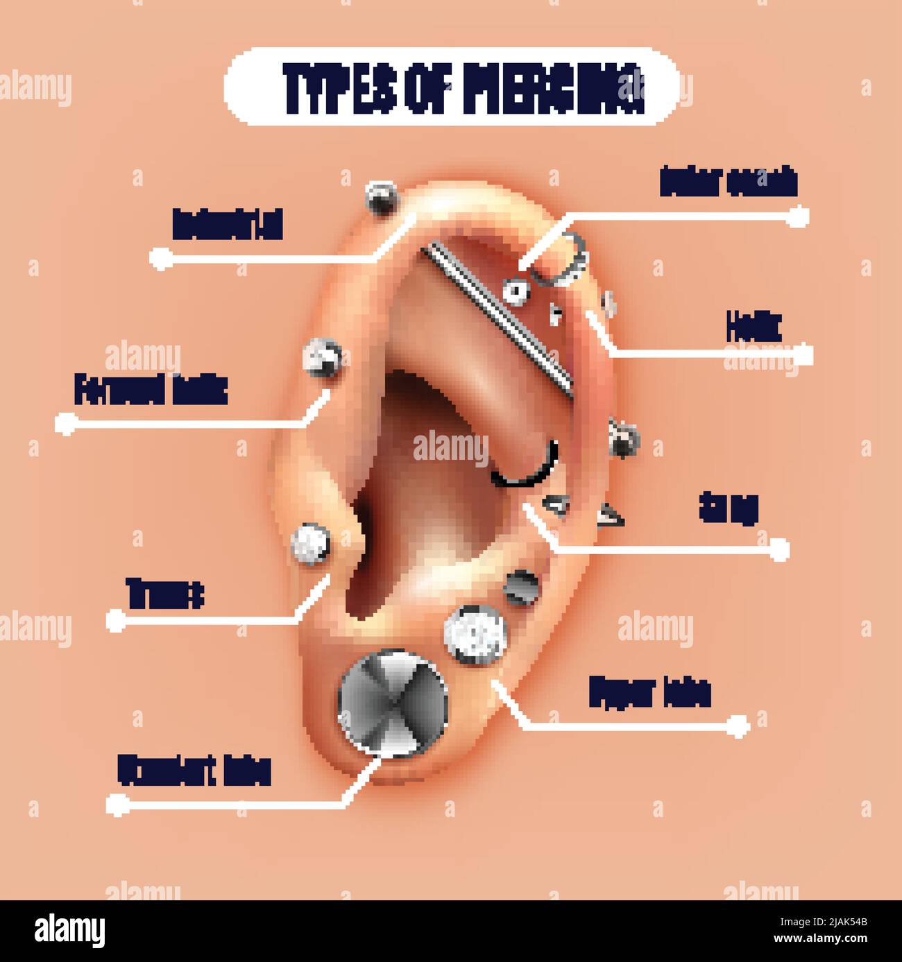 Ear Piercing Types Infographic