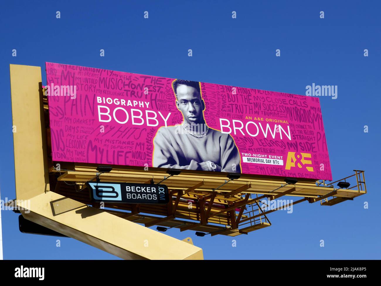 The Brown Bunny Billboard