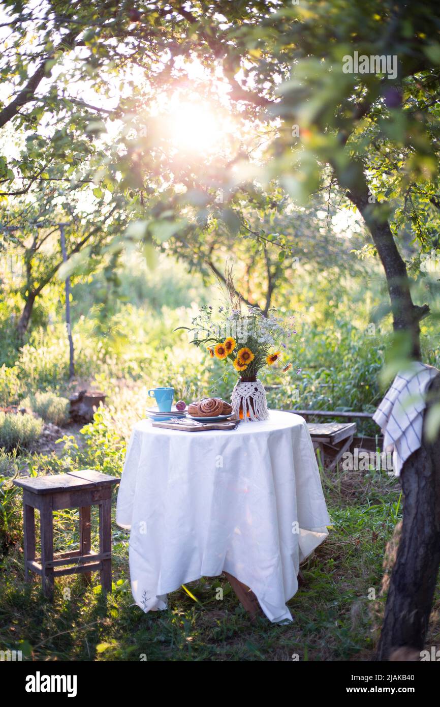 garden and tea party at the country style. still life - cinnamon rolls ...
