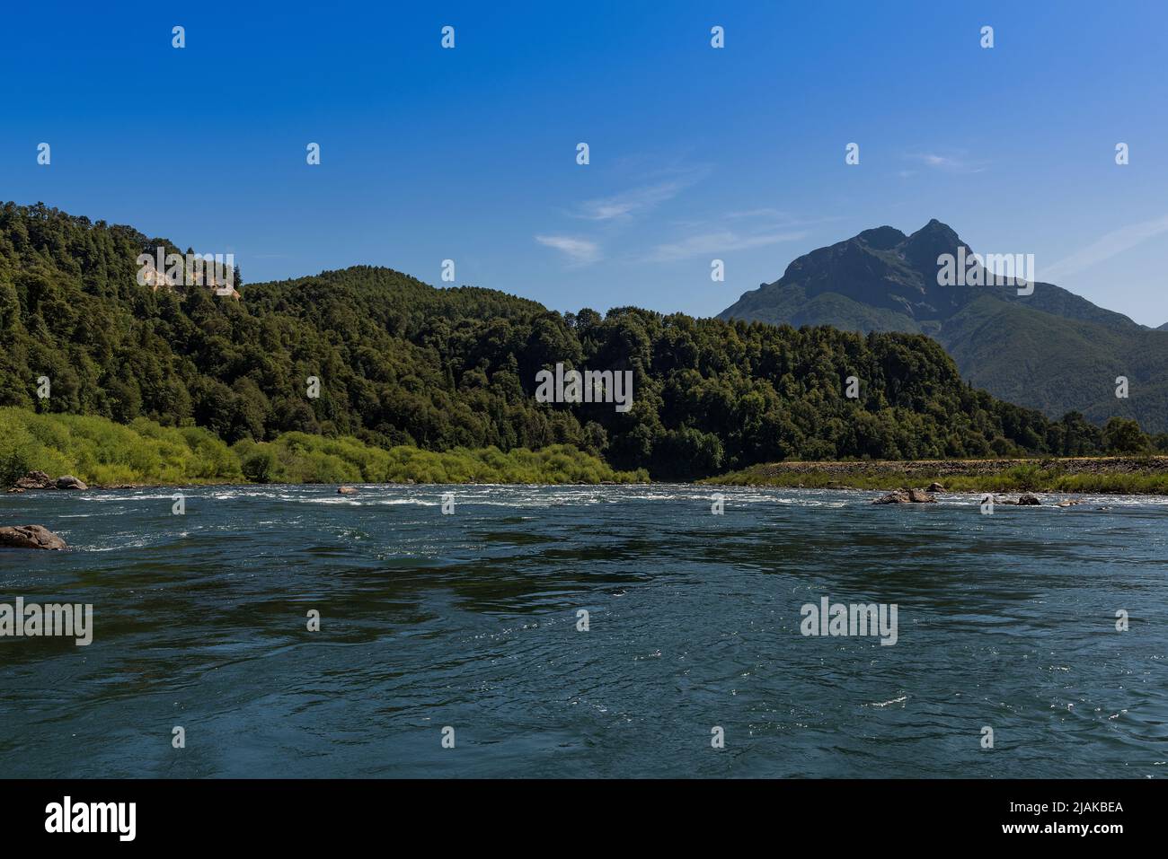 Forest landscape at the Biobio River, Chile Stock Photo - Alamy