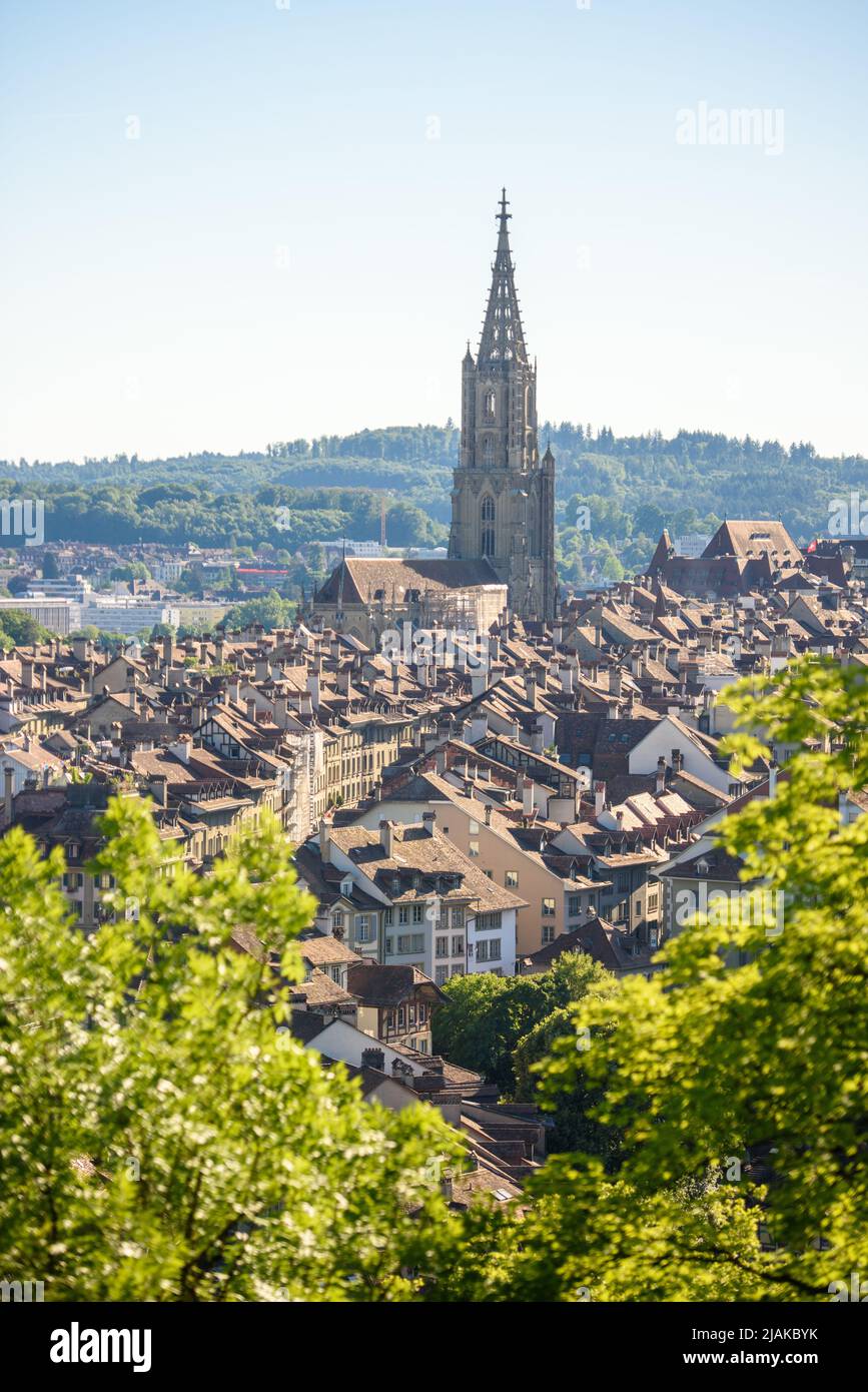 Berner Altstadt in summer with green foliage Stock Photo - Alamy