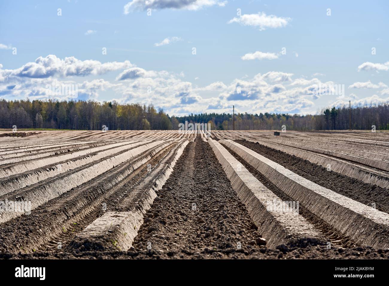 Furrows row pattern in a plowed field prepared for planting crops in ...