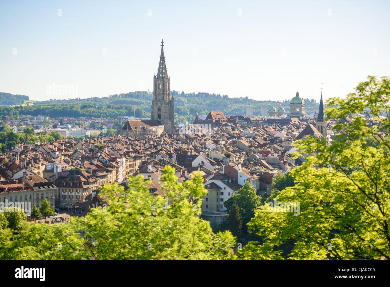 Berner Altstadt in summer with green foliage Stock Photo - Alamy