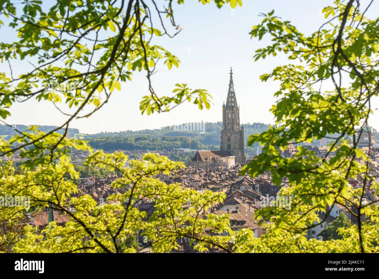 Berner Altstadt in summer with green foliage Stock Photo - Alamy