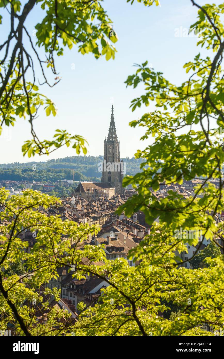 Berner altstadt in summer hi-res stock photography and images - Alamy