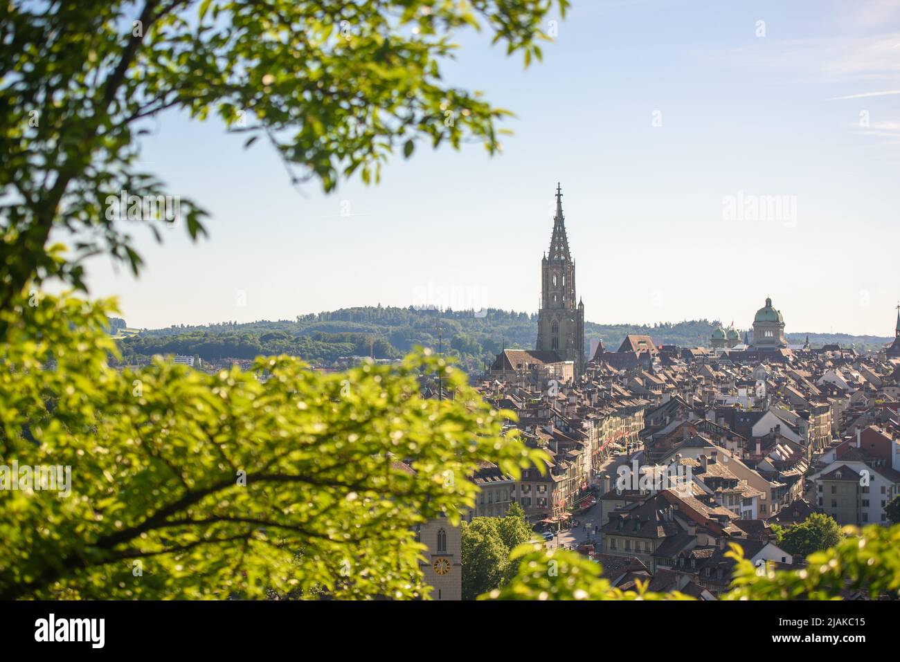 Berner Altstadt in summer with green foliage Stock Photo - Alamy