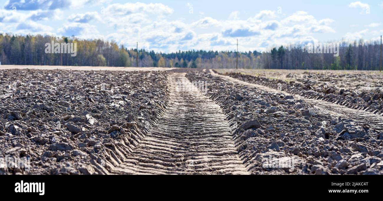 Tractor track at the the plowing field. Forest and cloudy sky Stock ...