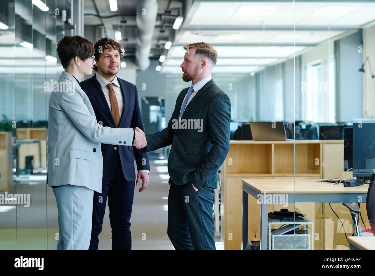 Group of business partners in formal wear shaking hands and greeting ...